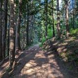 Mount Kit Carson Trail, Washington - 1,046 Reviews, Map | AllTrails