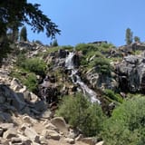 Tamarack Peak Loop, Nevada - 1,065 Reviews, Map | AllTrails