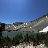 Barney Lake Trail, California - 1,194 Reviews, Map | AllTrails