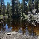 Barney Lake Trail, California - 1,194 Reviews, Map | AllTrails