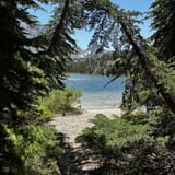 Barney Lake Trail, California - 1,194 Reviews, Map | AllTrails