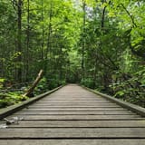 Rattlesnake Point and Crawford Lake, Ontario, Canada - 1,105 Reviews ...