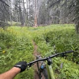 June Lake Loop Trail, California - 394 Reviews, Map | AllTrails