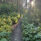 Truman Gulch Trail, Montana - 391 Reviews, Map | AllTrails