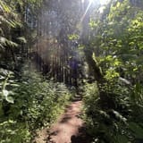 Robin Hill Park, Washington - 347 Reviews, Map | AllTrails