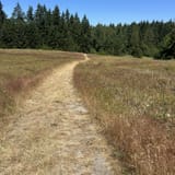 Robin Hill Park, Washington - 347 Reviews, Map | AllTrails