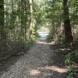 Robin Hill Park, Washington - 347 Reviews, Map | AllTrails
