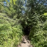 Robin Hill Park, Washington - 334 Reviews, Map | AllTrails