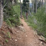 Virgin River Rim Trail, Utah - 132 Reviews, Map | AllTrails