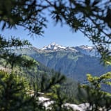 White Pass Pilot Ridge Loop Trail, Washington - 116 Reviews, Map ...