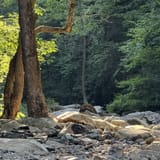 Meadow Run Trail, Pennsylvania - 1,275 Reviews, Map | AllTrails