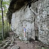 Meadow Run Trail, Pennsylvania - 1,275 Reviews, Map | AllTrails