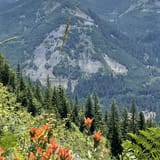 Ira Spring Memorial Trail, Washington - 2,335 Reviews, Map | AllTrails