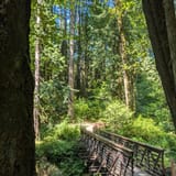 Tryon Creek Triple Bridge Loop, Oregon - 1,649 Reviews, Map | AllTrails