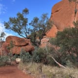 Kuniya Walk to Mutitjulu Waterhole, Northern Territory, Australia - 43 ...