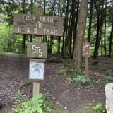 STS (Susquehannock Trail System) Backpacking Loop, Pennsylvania - 62 ...
