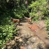 Tibble Fork Loop Trail, Utah - 836 Reviews, Map | AllTrails