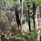 Good Luck Cliffs and West Stoner Lake Trail, New York - 724 Reviews ...