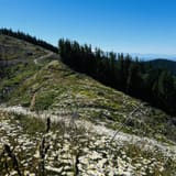 Cable Line Trail to West Tiger #3, Washington - 2,562 Reviews, Map ...
