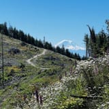 Cable Line Trail to West Tiger #3, Washington - 2,562 Reviews, Map ...