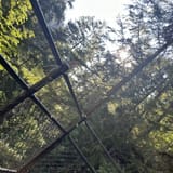 Toketee Falls, Oregon - 2,371 Reviews, Map | AllTrails