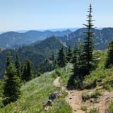 Thorp Mountain Trail, Washington - 232 Reviews, Map | AllTrails