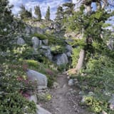 Mount Judah Loop Trail, California - 2,416 Reviews, Map | AllTrails