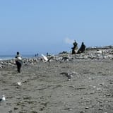 Dungeness Spit Trail, Washington - 1,639 Reviews, Map | AllTrails