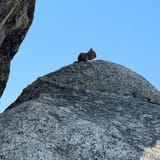 Monkey Rock Trail, Nevada - 6,212 Reviews, Map | AllTrails