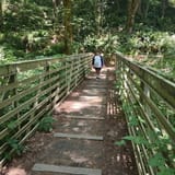 Mima Falls East Trail, Washington - 1,982 Reviews, Map | AllTrails