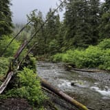 Indian River Trail, Alaska - 278 Reviews, Map | AllTrails