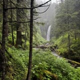 Indian River Trail, Alaska - 278 Reviews, Map | AllTrails