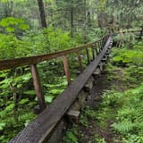 Indian River Trail, Alaska - 278 Reviews, Map | AllTrails