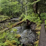 Indian River Trail, Alaska - 278 Reviews, Map | AllTrails