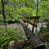 Indian River Trail, Alaska - 278 Reviews, Map | AllTrails