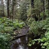 Indian River Trail, Alaska - 278 Reviews, Map | AllTrails