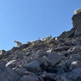 Burroughs Mountain Loop Trail, Washington - 2,274 Reviews, Map | AllTrails