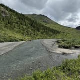 Savage River Loop, Alaska - 1,319 Reviews, Map | AllTrails