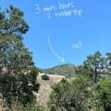 Timber Top and Boronda Trail, California - 750 Reviews, Map | AllTrails