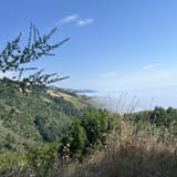 Timber Top and Boronda Trail, California - 750 Reviews, Map | AllTrails
