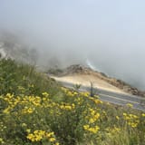 Timber Top and Boronda Trail, California - 750 Reviews, Map | AllTrails