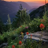 Bandera Mountain Summit, Washington - 1,544 Reviews, Map | AllTrails