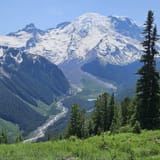 Silver Forest Trail, Washington - 533 Reviews, Map | AllTrails
