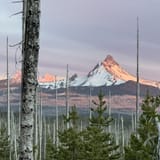 Three Fingered Jack via Pacific Crest Trail, Oregon - 437 Reviews, Map ...