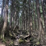 Mount Kintoki - Kintoki Shrine, Kanagawa, Japan - 240 Reviews, Map ...