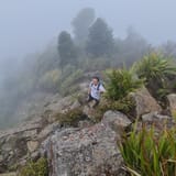 Mount Pirongia via Tirohanga and Mahaukura Tracks, Waikato, New Zealand ...
