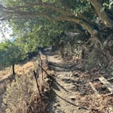 Mount Zas (Zeus) Trail, Naxos, Greece - 488 Reviews, Map | AllTrails