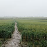 Filey and the Centenary Way, North Yorkshire, England - 50 Reviews, Map ...