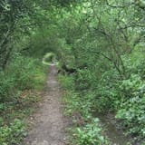 Filey and the Centenary Way, North Yorkshire, England - 50 Reviews, Map ...