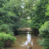 Muddy Creek Greenway, North Carolina - 989 Reviews, Map | AllTrails